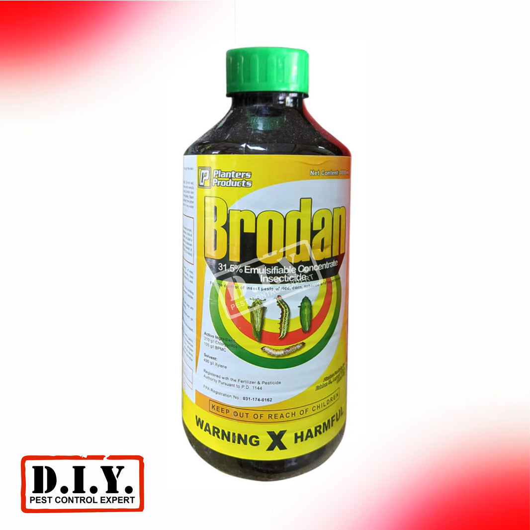 Insecticide – DIY Pest Control Expert