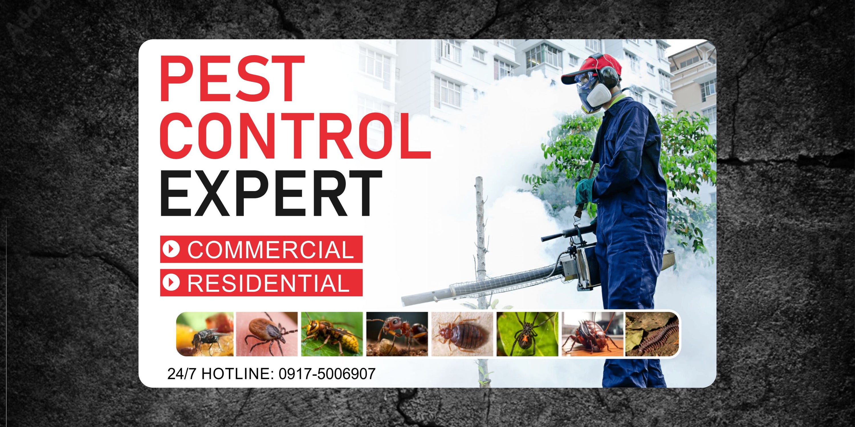 DIYPEST Do It Yourself Pest Control Philippines – DIY Pest Control Expert