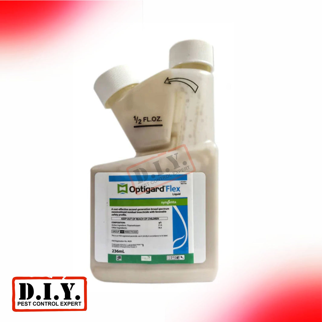 Termite Control – DIY Pest Control Expert